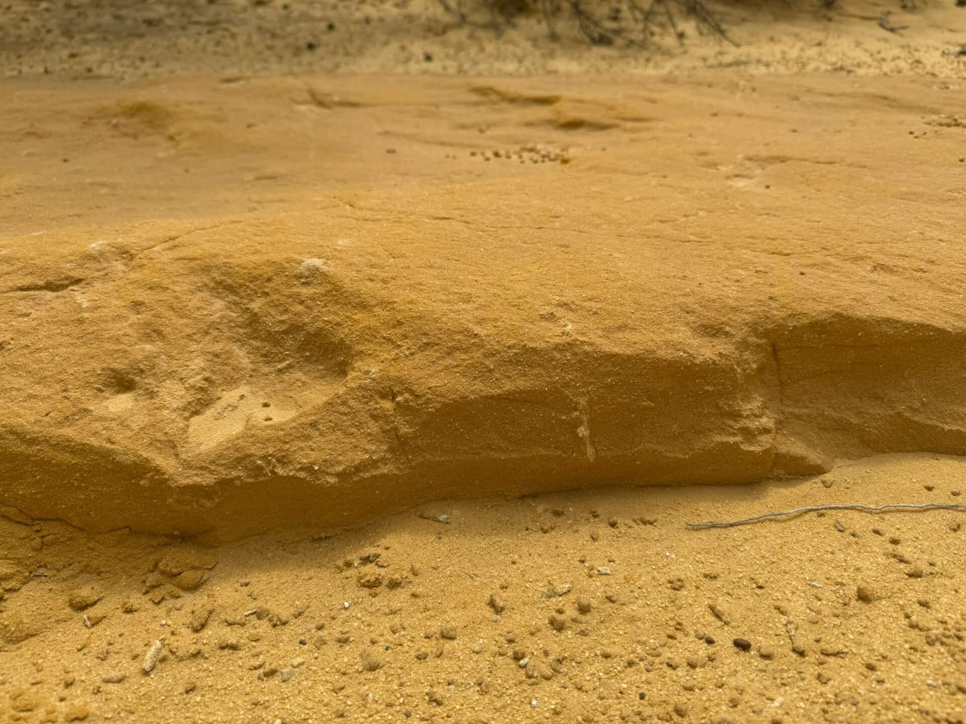 What is biocementation and how does it work on mine roads?